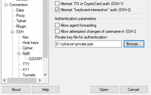 How to use SSH keys for authentication?