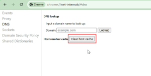 How to Clear DNS History, DNS Cache, and Search Data in Chrome