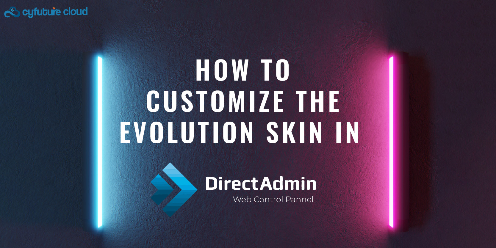 How to Customize the Evolution Skin in DirectAdmin?